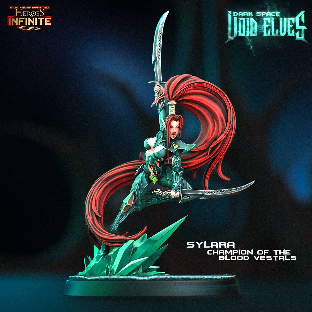 Dark Space Void Elves STL Pirate